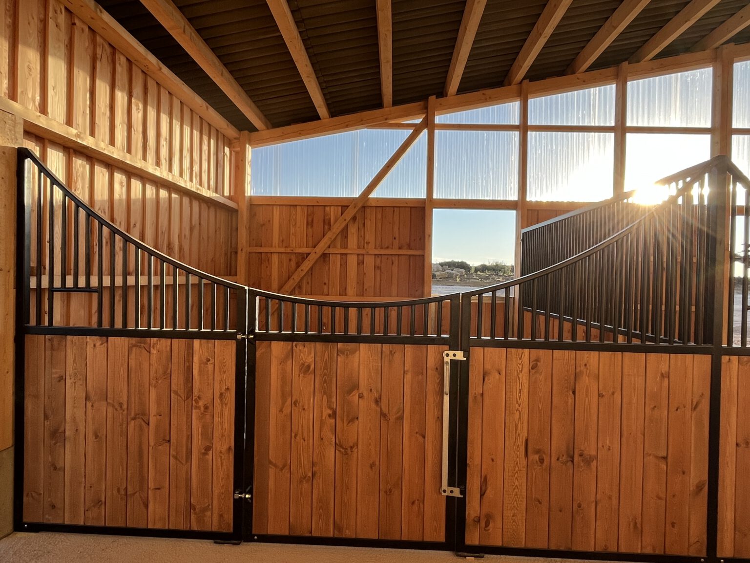 Paddockboxen von Equifarm – HIT Aktivstall® Pferderesort Engesser