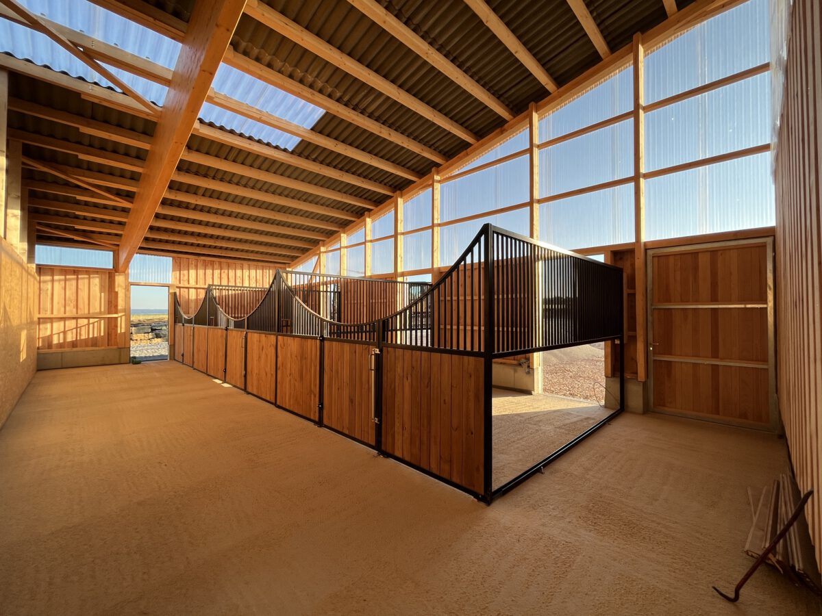 Paddockboxen von Equifarm – HIT Aktivstall® Pferderesort Engesser