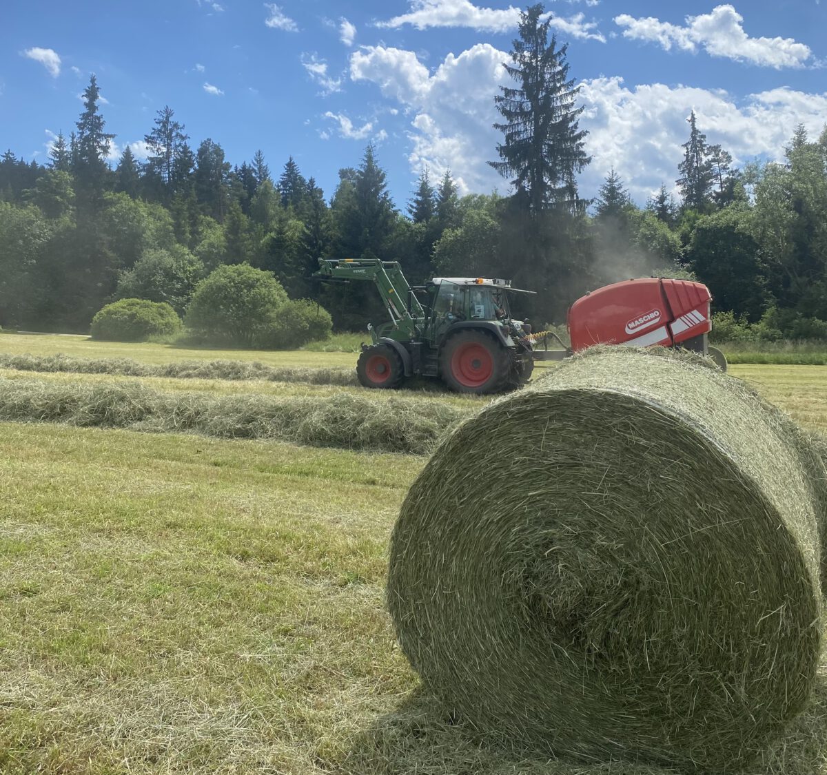 Fortschritte auf der Baustelle & Heuernte – HIT Aktivstall ...